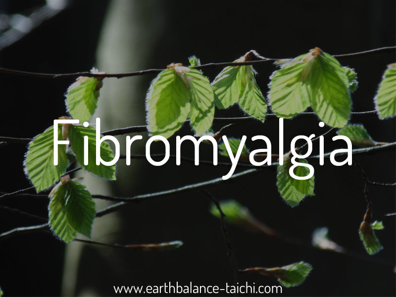 Tai Chi for Fibromyalgia | Earth Balance Tai Chi