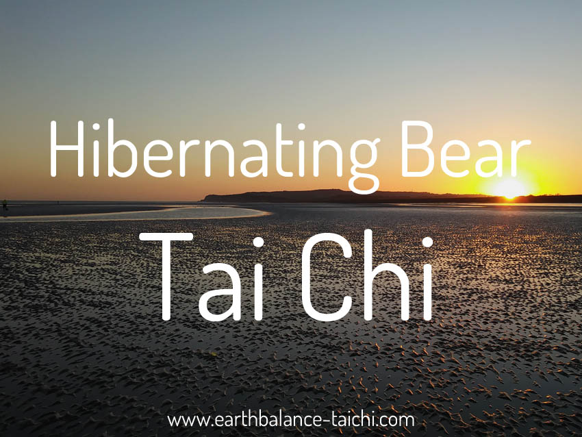 Earth Balance Tai Chi - Chen Tai Chi, Qi Gong & Meditation