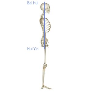 The Hips in Tai Chi | How to Align your Pelvis Martial Arts