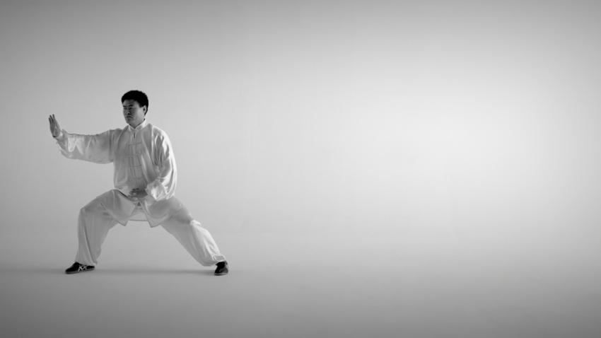 Wang Hai Jun Towards the Light | Earth Balance Tai Chi