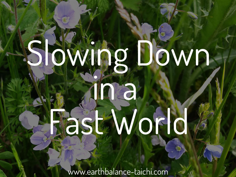 Slowing Down in a Fast World | Earth Balance Tai Chi