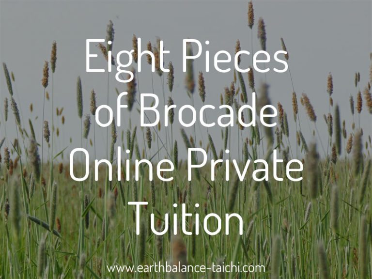 Eight Pieces Brocade Qigong Routine | Ba Duan Jin | 8 Moves