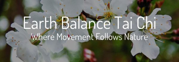 Online School of Chen Tai Chi, Health Qi Gong & Taoist Meditation