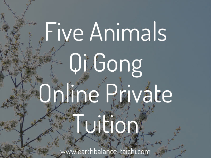 Five Animals Qi Gong Health Routine | Earth Balance Tai Chi