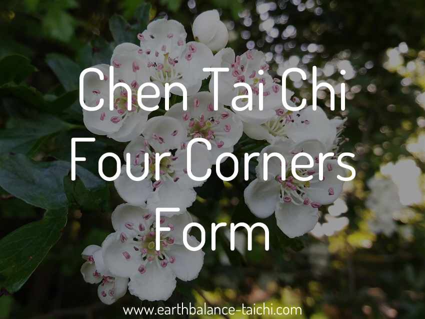 Chen Tai Chi | Learn Online via Zoom