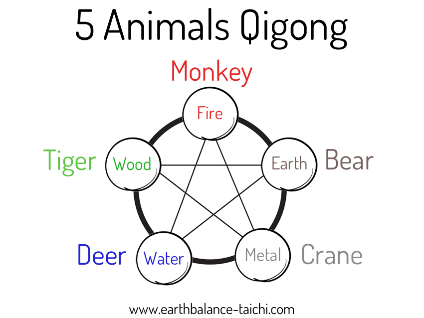 Five Animals Qi Gong Health Routine | Wu Qin Xi | 10 Moves