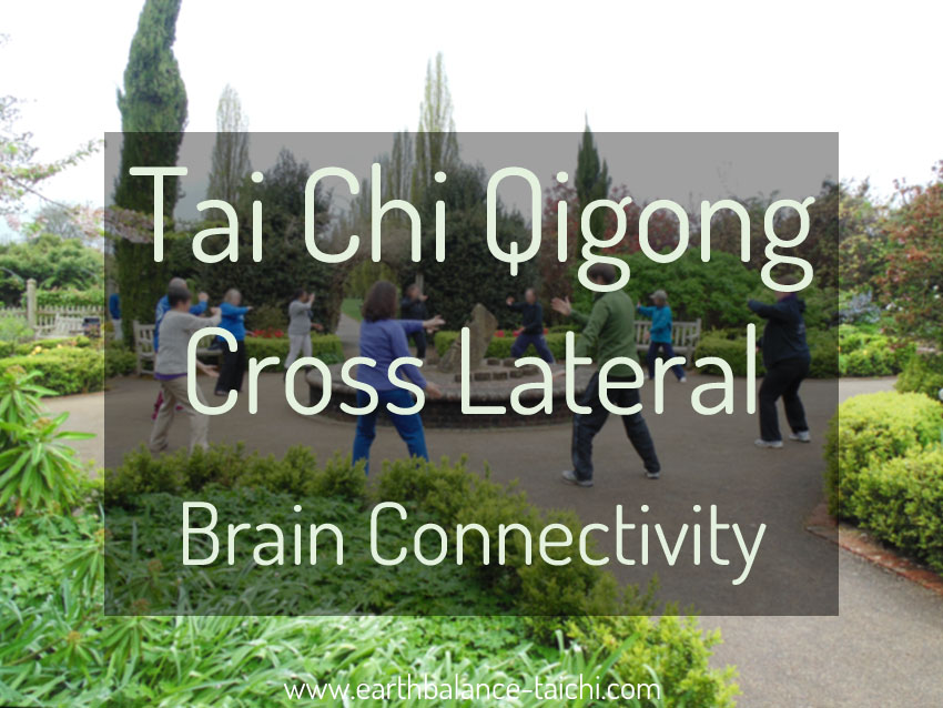 Cross Lateral Movements in Tai Chi and Qigong Practice