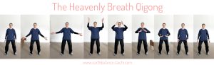 Nourish Through Breath Part 5 | Qigong Breathing for Health