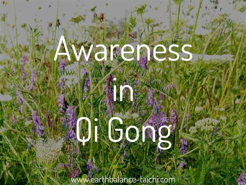 Qi Gong Principles | What Are The Key Concepts in Training