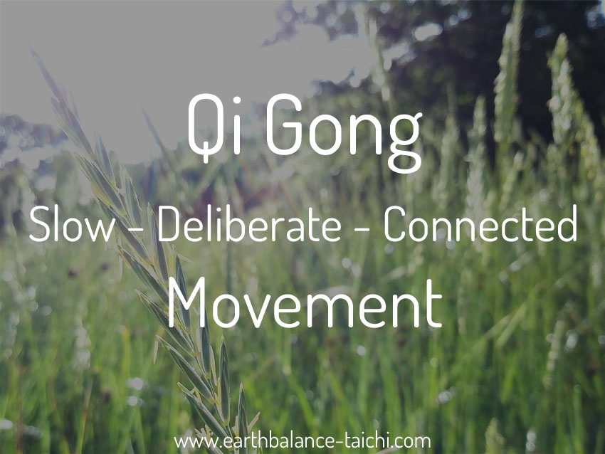 Qi Gong Principles | What Are The Key Concepts in Training