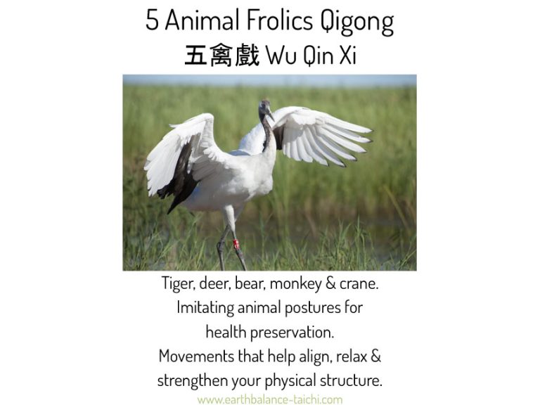 Five Animals Qi Gong | Wu Qin Xi Taoist Health Preservation