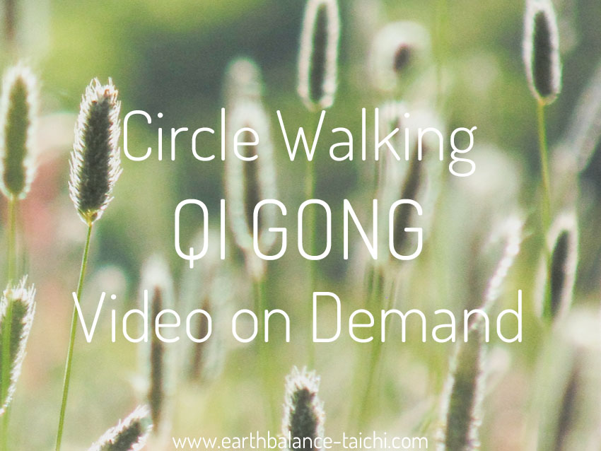 Eight Energy Circle Walking Qigong | Taoist Health Practice